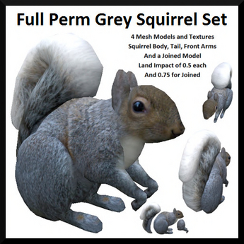 Second Life Marketplace - Full Perm Grey Squirrel Set